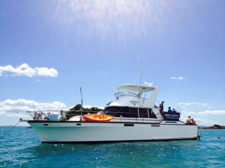 Launches Archives - New Zealand Boat Sales