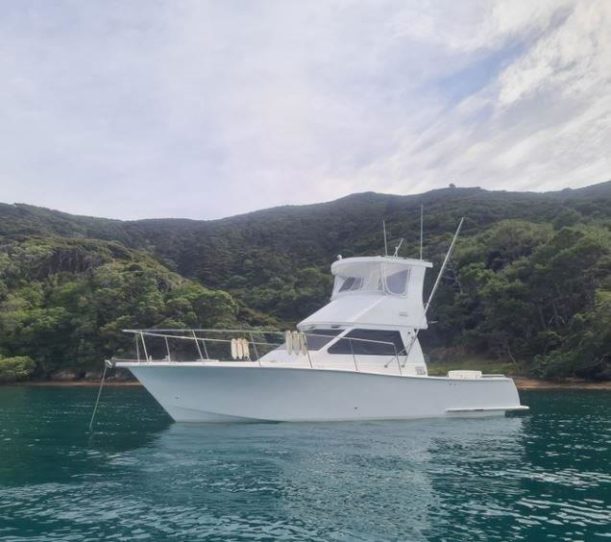 Launches Archives - New Zealand Boat Sales