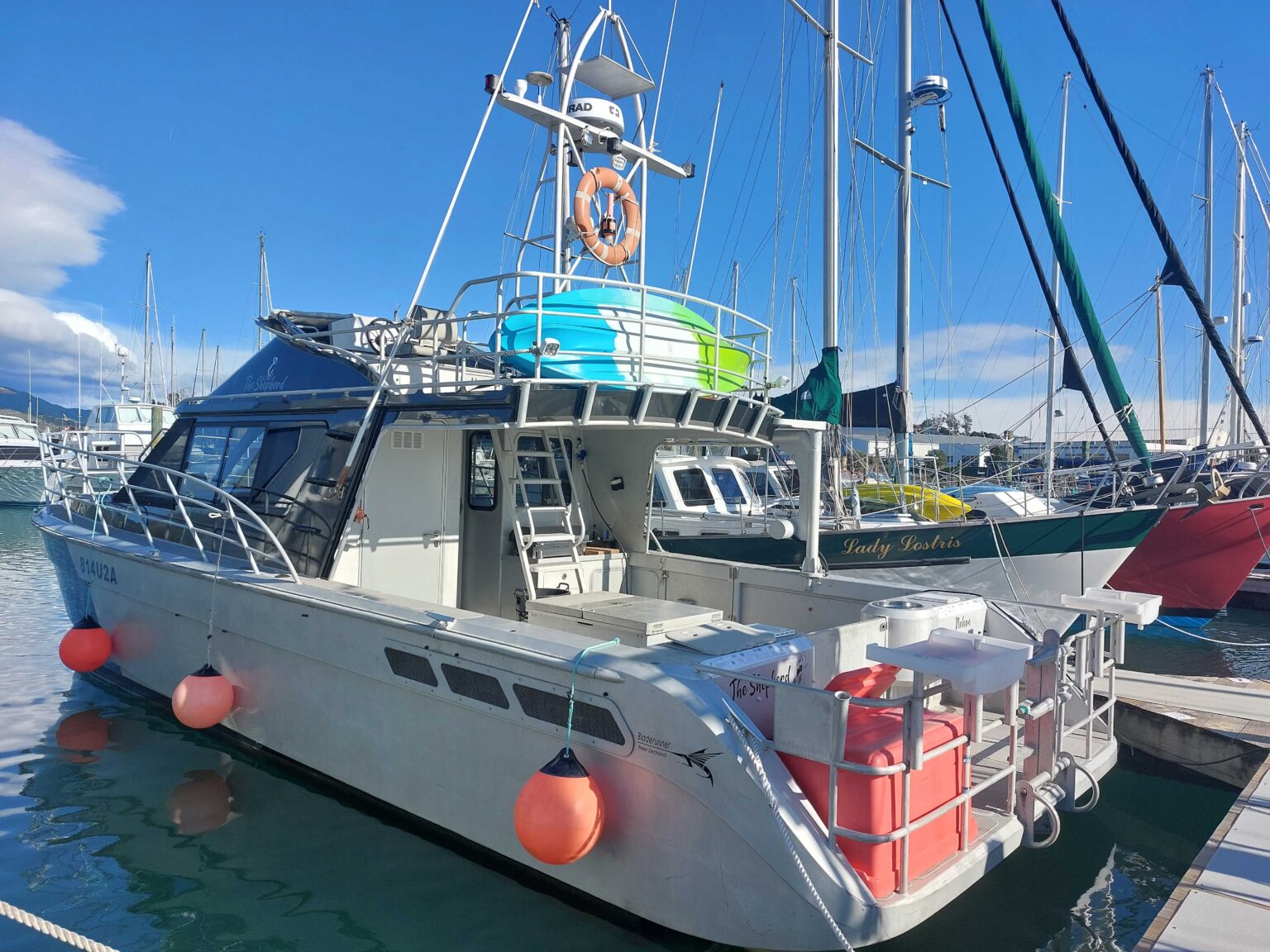 THE SHEPHERD: Bladerunner 12.2m powercat - NZ Boat Sales