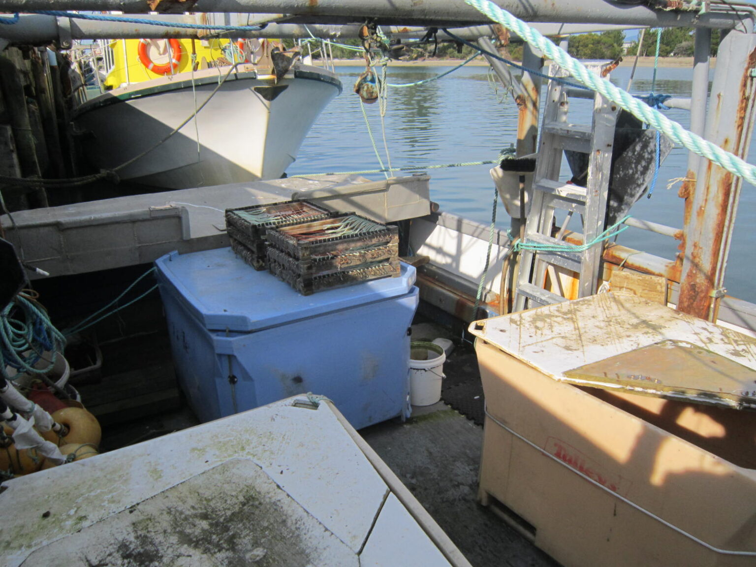 BARBARA D: Nalder & Biddle designed displacement fishing vessel - NZ ...